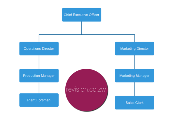 Tall Organisational Structure Diagram 🎉 Advantages Of Tal